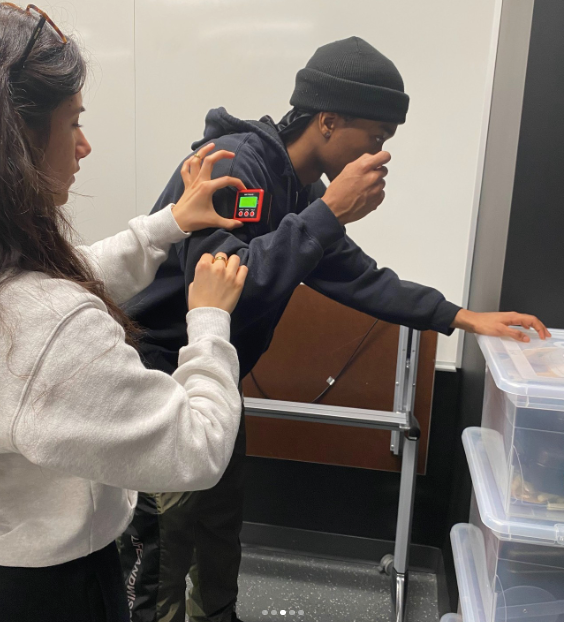 What Is an FCE? Functional Capacity Evaluation Guide – Metriks ...